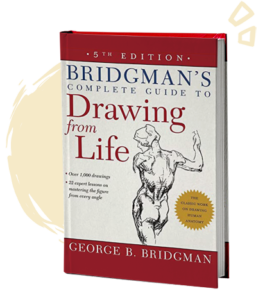 ZEPHY | 6 Must-Know Tips for Drawing the Human Body