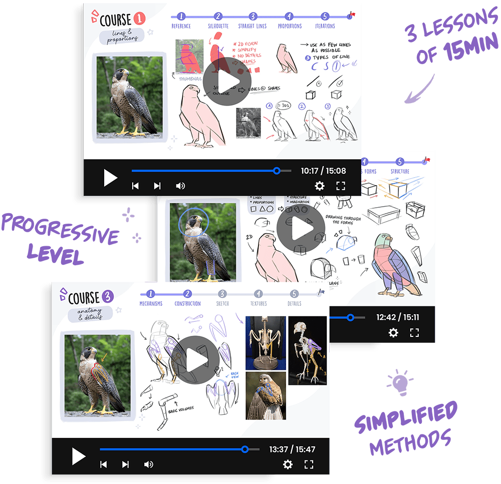 ZEPHY | Free Beginner Drawing Course: Drawing Basics in 3 Days