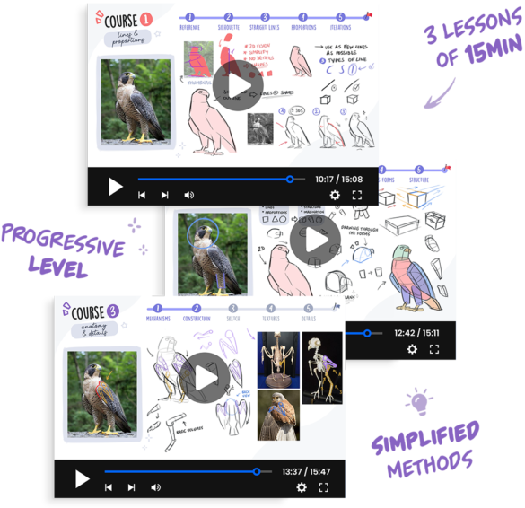 Le cours de dessin gratuit - Zephy