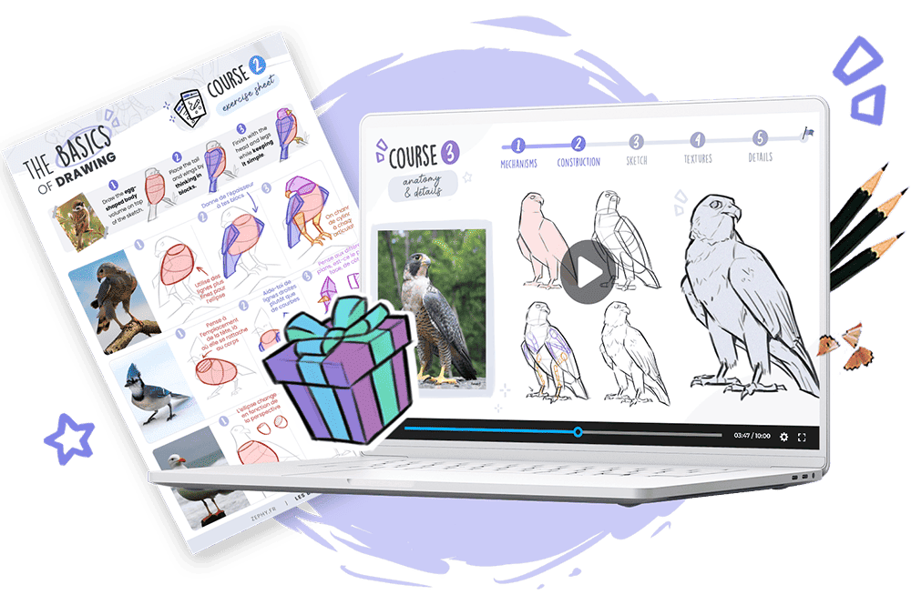 ZEPHY | Free Beginner Drawing Course: Drawing Basics in 3 Days