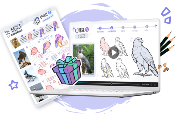 Le cours de dessin gratuit - Zephy