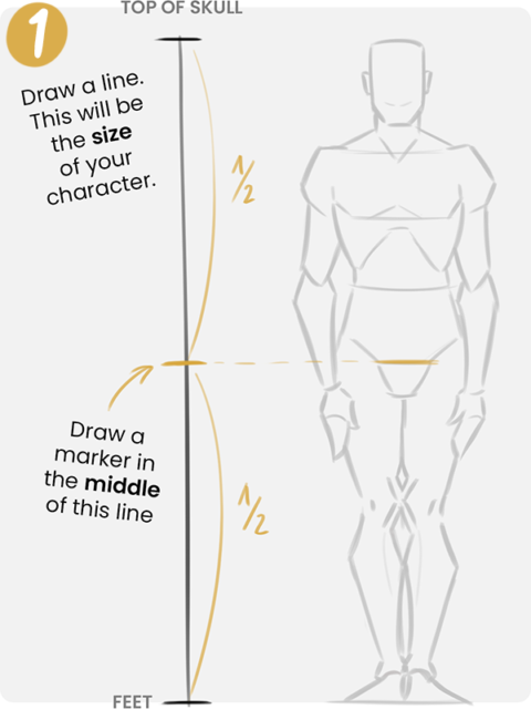 ZEPHY | Drawing the Human Body: Getting Proportions Right