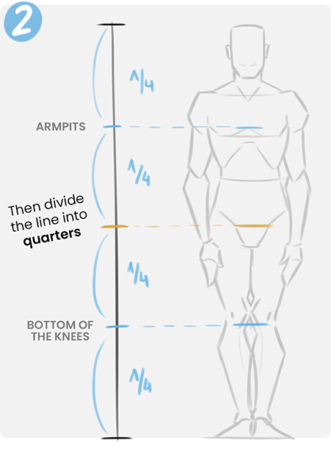 ZEPHY | Drawing the Human Body: Getting Proportions Right