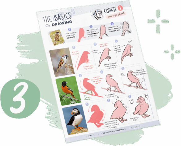 ZEPHY | Free Beginner Drawing Course: Drawing Basics in 3 Days