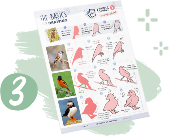 Le cours de dessin gratuit - Zephy
