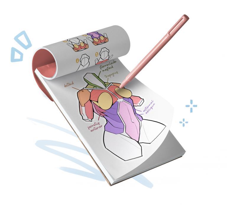 ZEPHY | Learn How to Draw with Our Free Course and Ebook