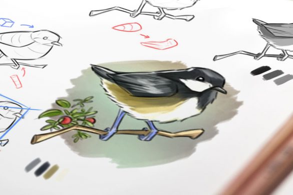 ZEPHY | Learn How to Draw with Our Free Course and Ebook