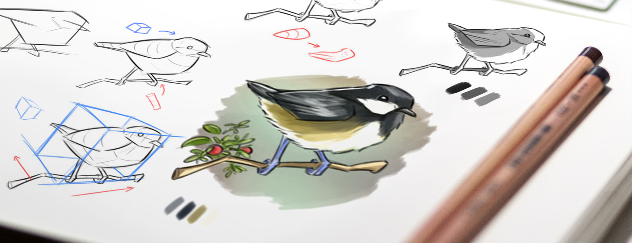 ZEPHY | Getting Started with Drawing: The 4 Essential Steps