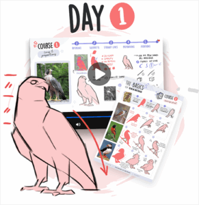 ZEPHY | Free Beginner Drawing Course: Drawing Basics in 3 Days