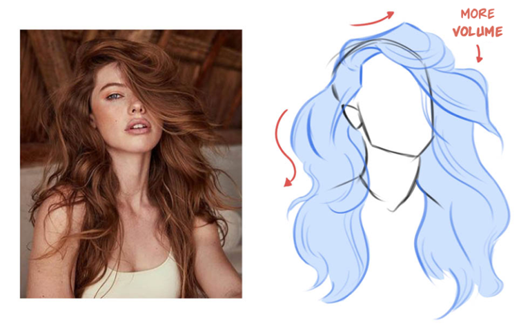 ZEPHY | Hair Drawing Essentials: A Step-by-Step Guide
