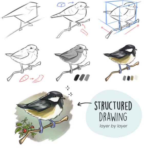ZEPHY | Getting Started with Drawing: The 4 Essential Steps