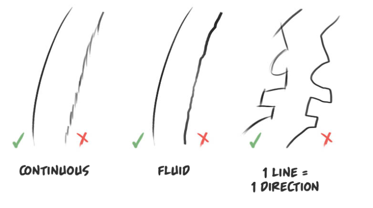 ZEPHY | 4 Key Points to Improve Your Linework