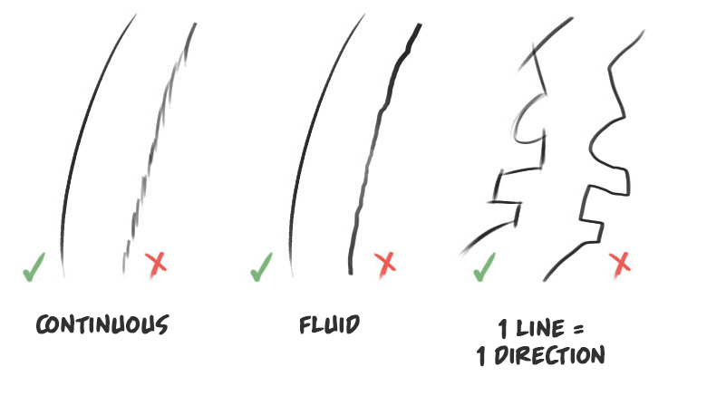 ZEPHY | 4 Key Points to Improve Your Linework