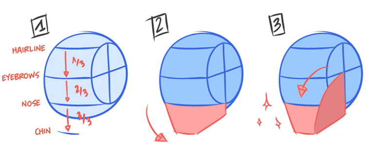ZEPHY | The Basics of Portrait Drawing : Head Structure
