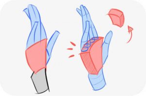 ZEPHY | The Complete Guide to Drawing Hands: Techniques