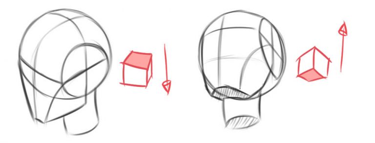 ZEPHY | The Basics of Portrait Drawing : Head Structure