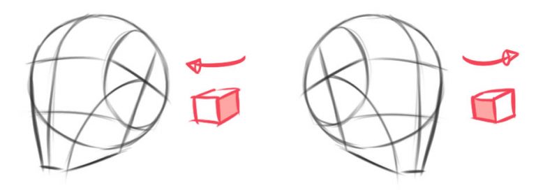 ZEPHY | The Basics of Portrait Drawing : Head Structure