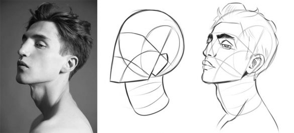 ZEPHY | The Basics of Portrait Drawing : Head Structure