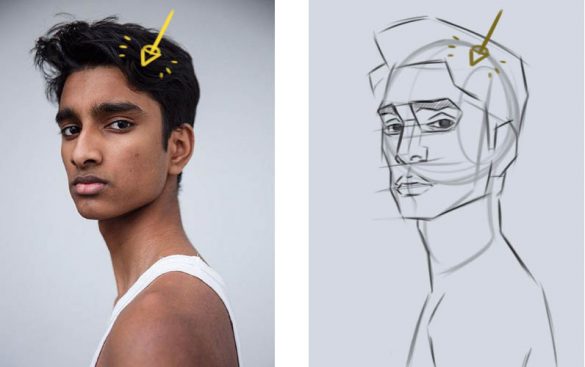 ZEPHY | Drawing Realistic Portraits from Photos: The Method