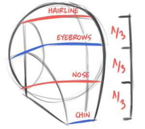 ZEPHY | The Basics of Portrait Drawing : Head Structure