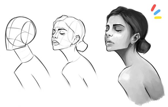 ZEPHY | The Basics of Portrait Drawing : Head Structure